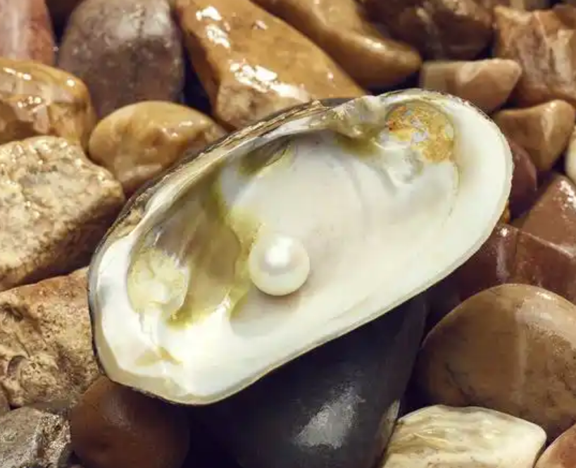 The Ultimate Guide to Different Types of Pearls: A Stunning Showcase of ...